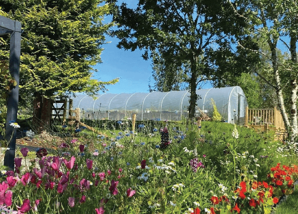 The EasyBuild Polytunnel | Northern Polytunnels