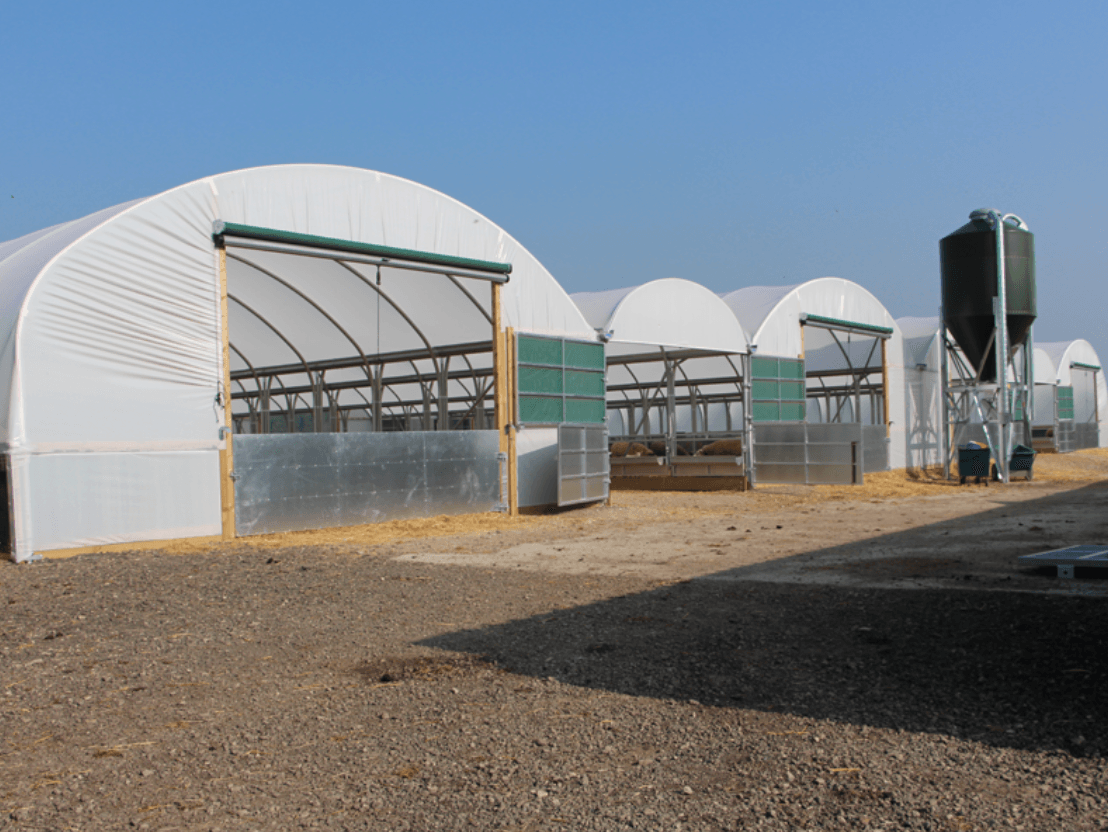 Livestock - Livestock Housing - Livestock Multi-Span - Northern Polytunnels