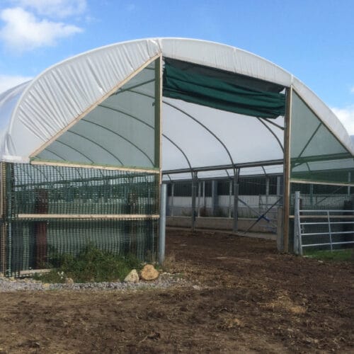 Durable Sheep Shelters & Housing | Northern Polytunnels