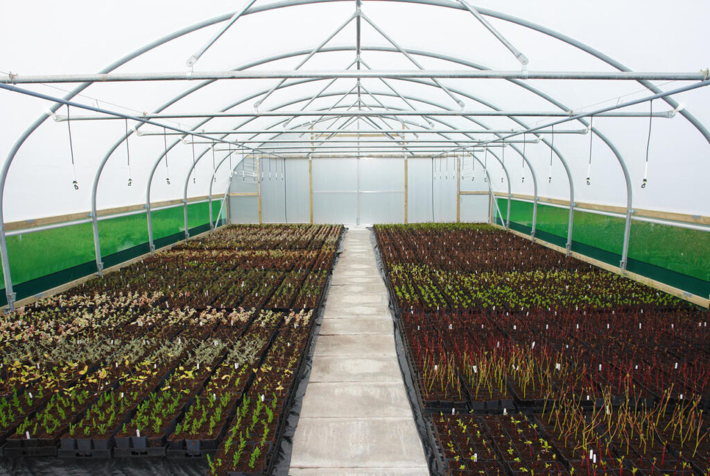 Overhead Irrigation Systems - 18ft | 21ft Wide Single Span Polytunnel ...