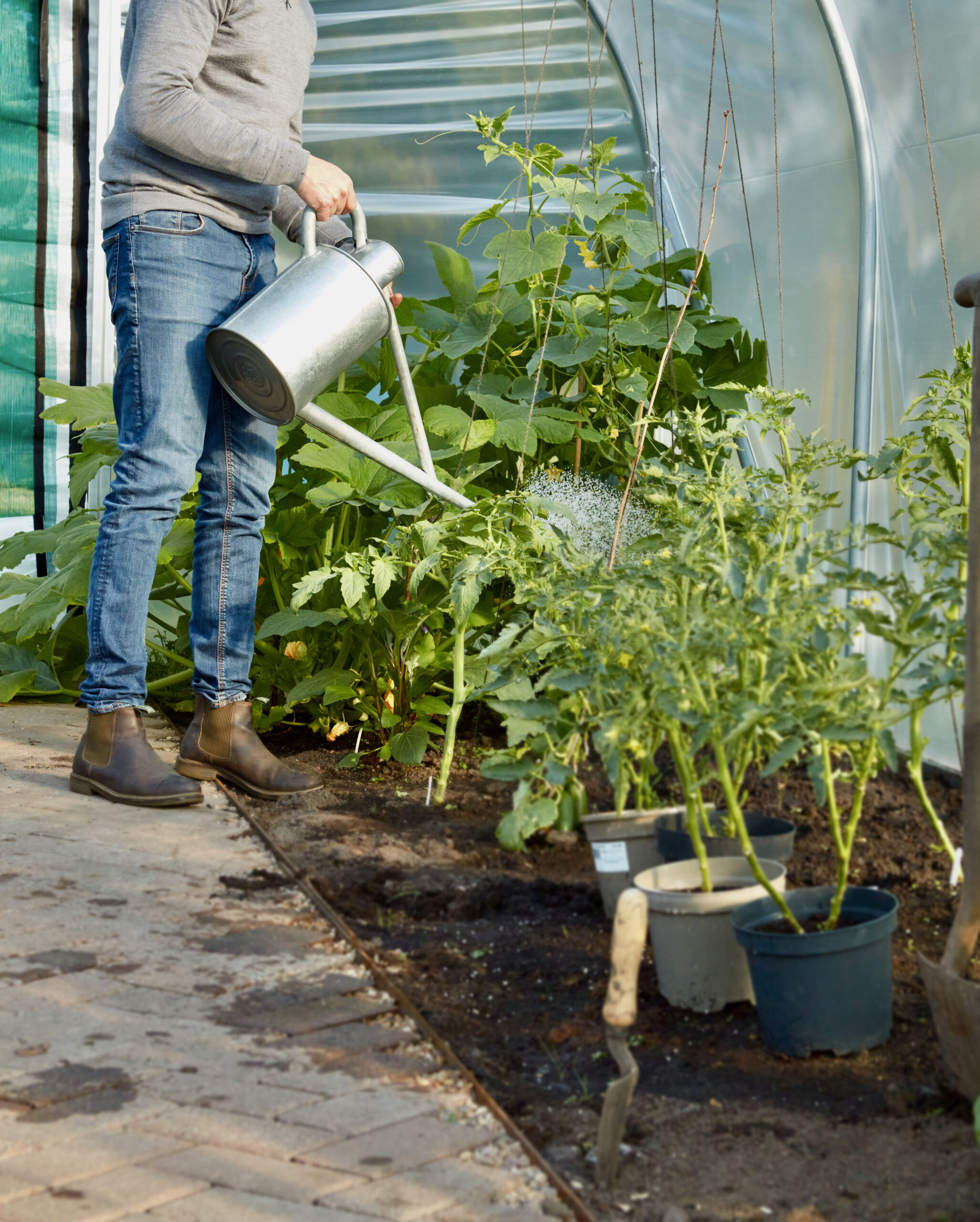 The EasyBuild Polytunnel | Northern Polytunnels