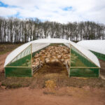 Northern Polytunnels | For Gardens, Commercial & Agriculture