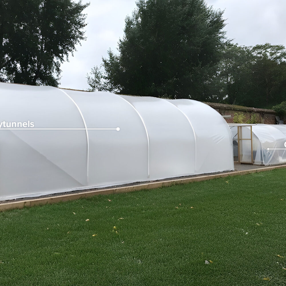 Commercial Horticulture | Northern Polytunnels